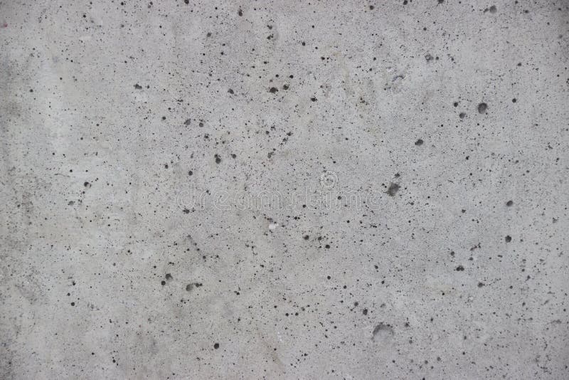 Smooth Porous Concrete Surface Stock Image - Image of wooden, squirrel ...