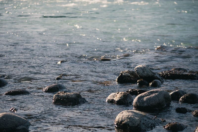 Smooth Stones Submerged Gentle Stream Water Stock Photos - Free ...