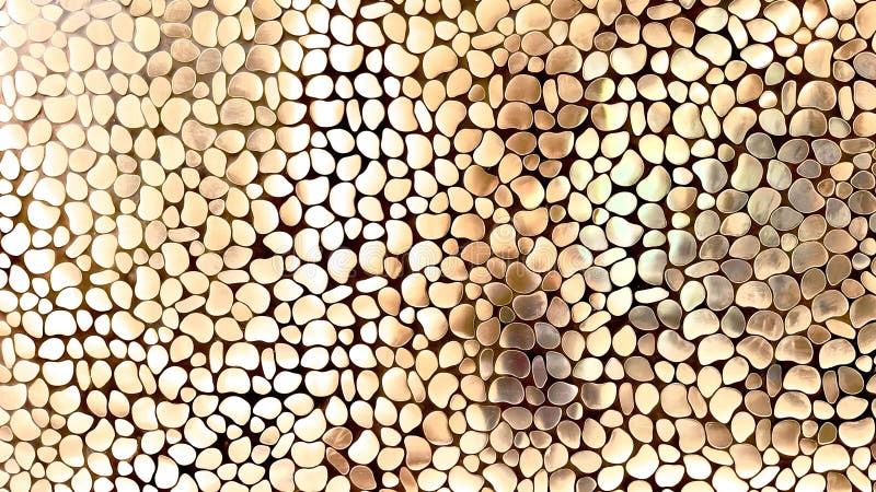 Smooth River Stones in Shades of White and Brown are Carefully Arranged ...