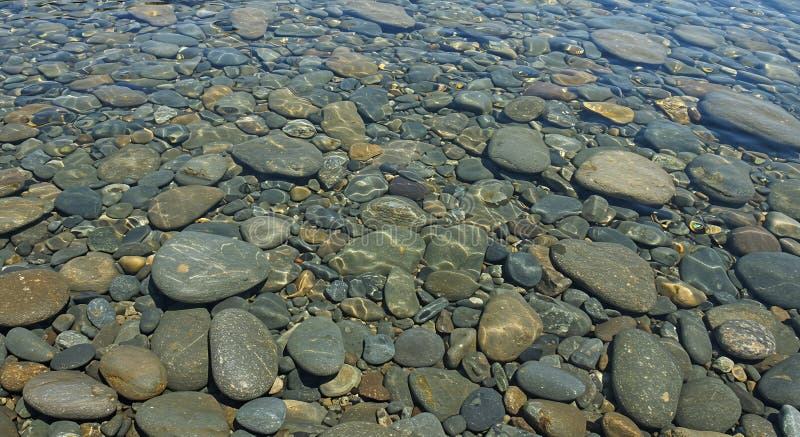 Smooth River Stones Under Clear Water with Sunlight Patterns Stock ...
