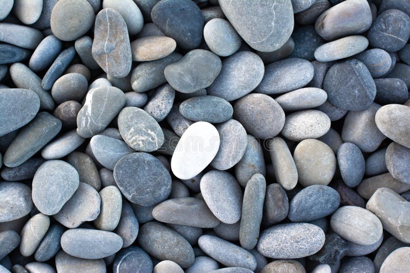Smooth Round Pebbles Sea Texture Background. Summer Day Stock Photo ...
