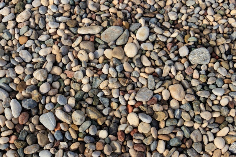 Smooth Round Pebbles Texture Background. Pebble Sea Beach Close-up ...
