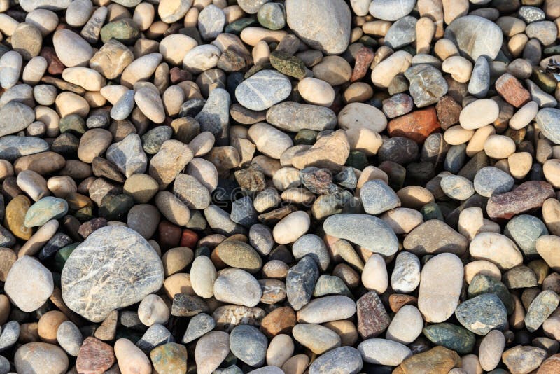 Smooth Round Pebbles Texture Background. Pebble Sea Beach Close-up ...