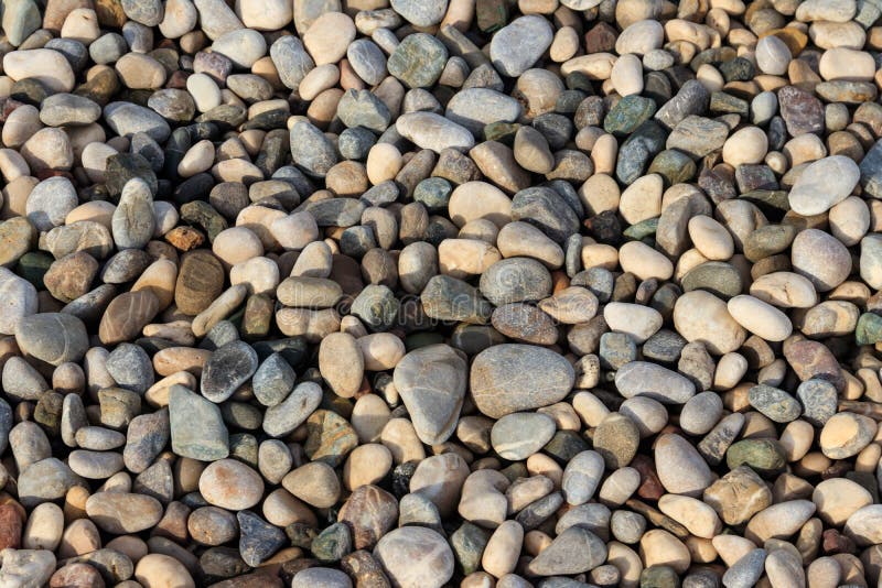 Smooth Round Pebbles Texture Background. Pebble Sea Beach Close-up ...