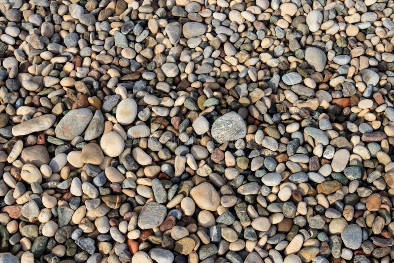 Smooth Round Pebbles Texture Background. Pebble Sea Beach Close-up ...
