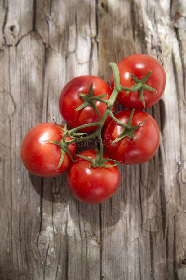 Smooth round tomatoes stock image. Image of food, canned - 74765949