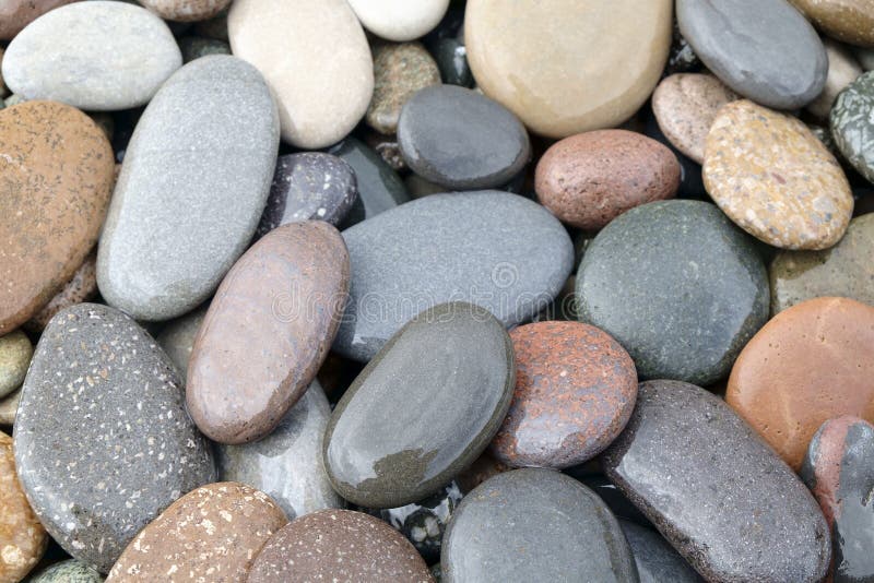 Smooth Round Wet Pebbles Texture Background. Pebble Sea Beach Close-up ...