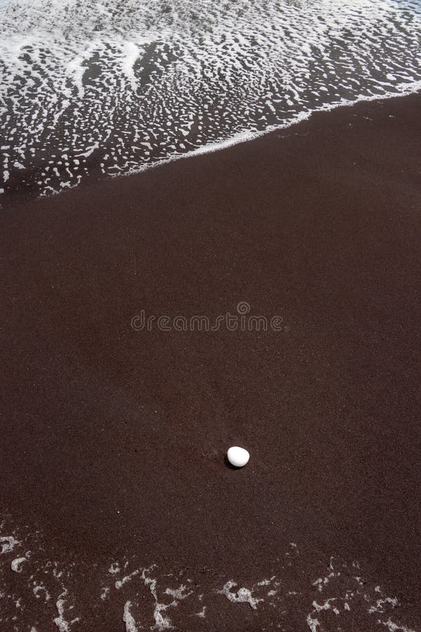 Smooth, Round, White Pebble Lying on Chocolate Brown, Sandy Beach ...