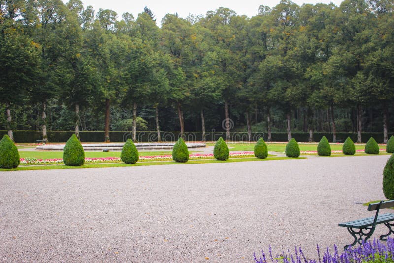 Smooth Rows of Cone-shaped Green Bushes in an Ancient Park Stock Image ...