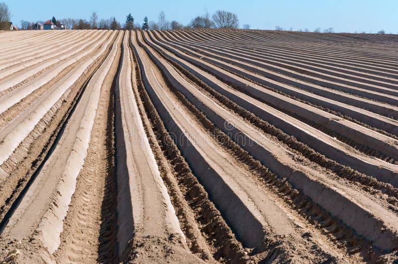 Ploughed Furrows in the Ground, Smooth the Ruts of Ploughed Land Stock ...