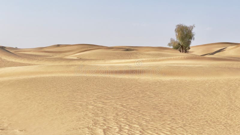 Smooth Sandy Surface of a Desert with Blue Sky in the Background Stock ...