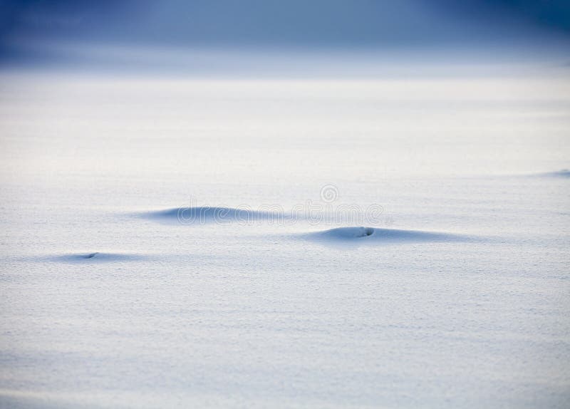 Smooth snow background stock image. Image of field, freeze - 60854213