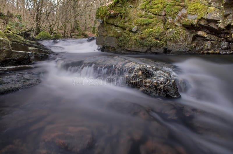 Smooth Stream stock image. Image of water, winter, forest - 28931645