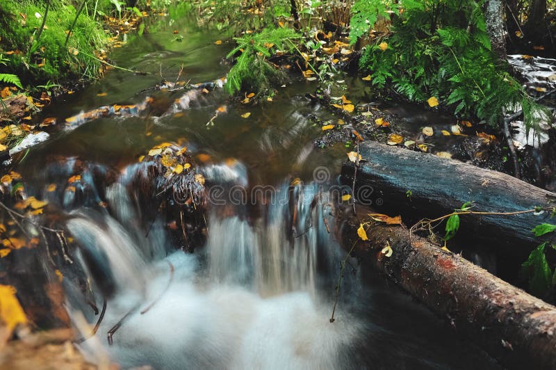 Smooth Stream Flowing Creek in the Autumn Forest Stock Image - Image of ...