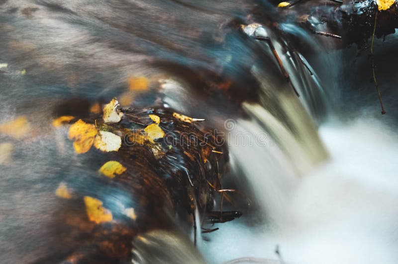 Smooth Stream Flowing Creek in the Autumn Forest Stock Photo - Image of ...