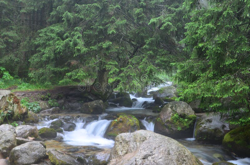 Smooth stream stock image. Image of forest, stream, land - 33247925
