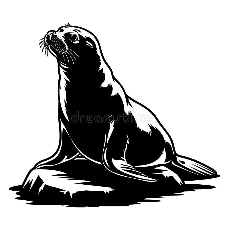 Seal Silhouette, Vector, Illustration. Stock Illustration ...