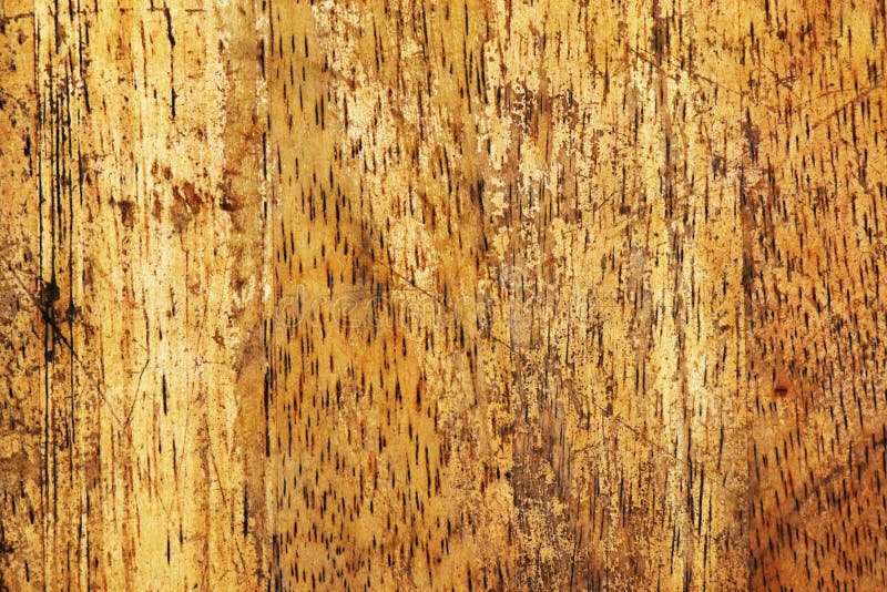 Smooth Surface and Texture of Old Softwood with Brown Stains, Wood ...