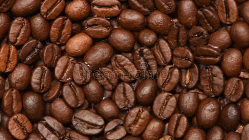 Smooth Transition Roasted Coffee Beans. Transition Video Element. Video ...