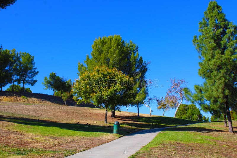 A Smooth Walking Path in the Park with Lush Green and Autumn Colored ...
