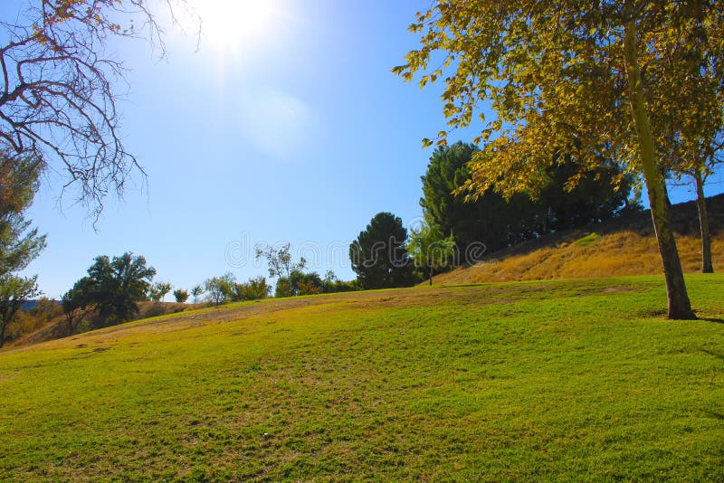 A Smooth Walking Path in the Park with People Walking Along the Path ...