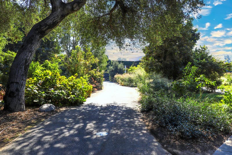 A Smooth Walking Path in the Park with People Walking Along the Path ...