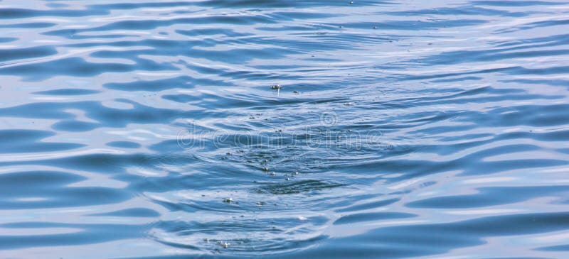 Smooth Water As an Abstract Background. Stock Photo - Image of deep ...