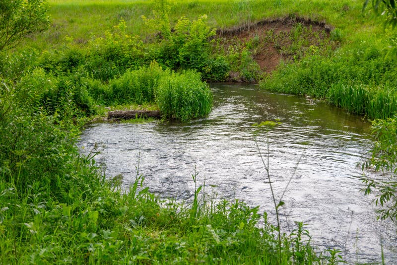 Smooth Water in the River and Green Grass Stock Image - Image of summer ...