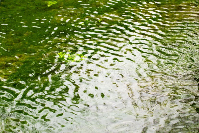 The Smooth Water on the River with a Green Tint Stock Image - Image of ...