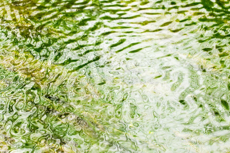 The Smooth Water on the River with a Green Tint Stock Photo - Image of ...