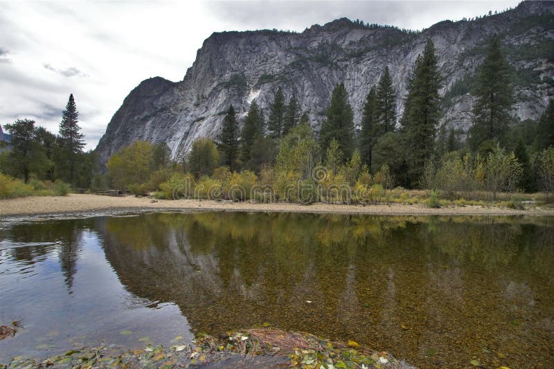 Smooth water stock image. Image of deciduous, nature - 197117861