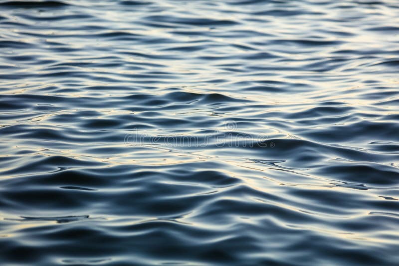 Smooth Water in the Sea in the Rays of Sunset Stock Image - Image of ...