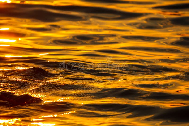 Smooth Water in the Sea in the Rays of Sunset Stock Image - Image of ...