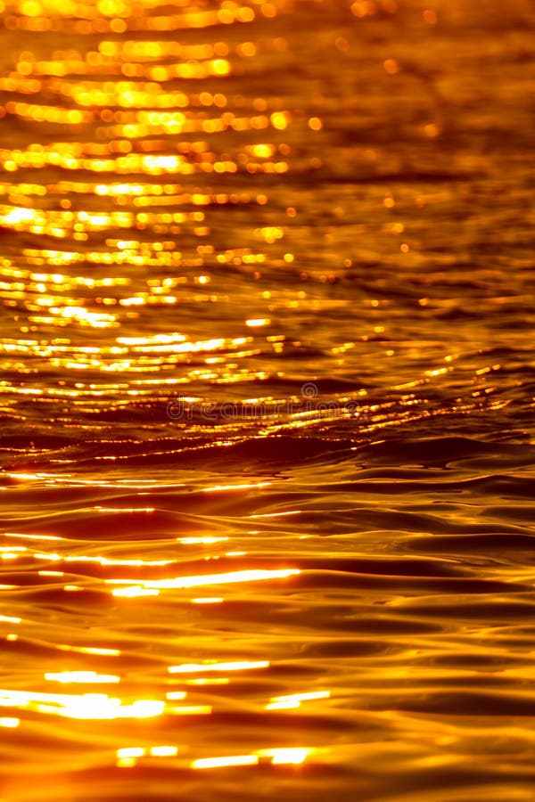 Smooth Water in the Sea in the Rays of Sunset Stock Image - Image of ...