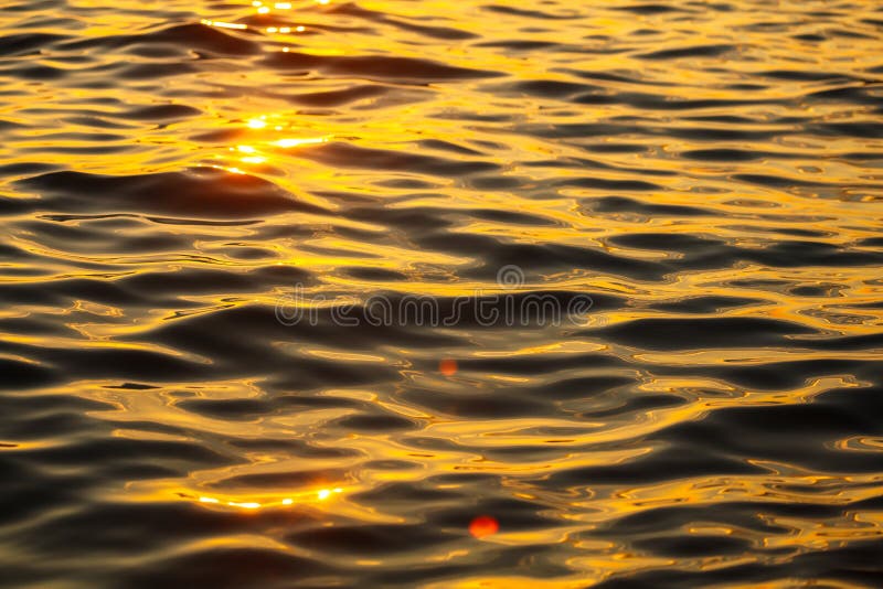Smooth Water in the Sea in the Rays of Sunset Stock Image - Image of ...
