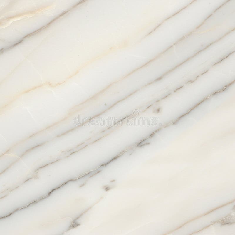 Refined Elegant Appearance Stock Illustrations – 8,505 Refined Elegant ...