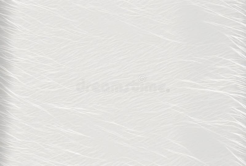 Smooth White Parchment or Paper Texture, Highly Detailed Texture ... Smooth White Parchment or Paper Texture, Highly Detailed Texture ...