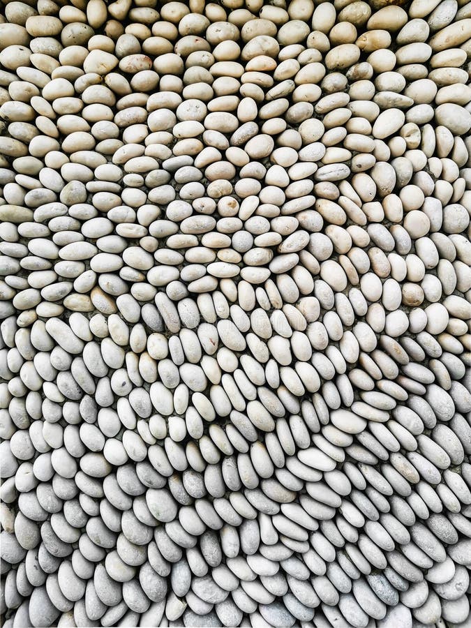 Smooth White Pebbles Arranged in Patterned Display Stock Image - Image ...