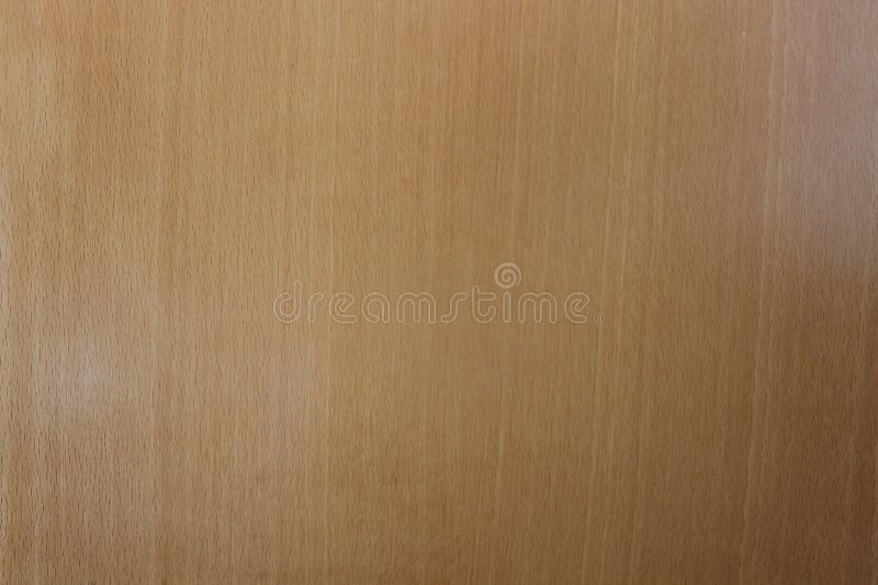 Orange wood wall stock photo. Image of grain, reflects - 360663632