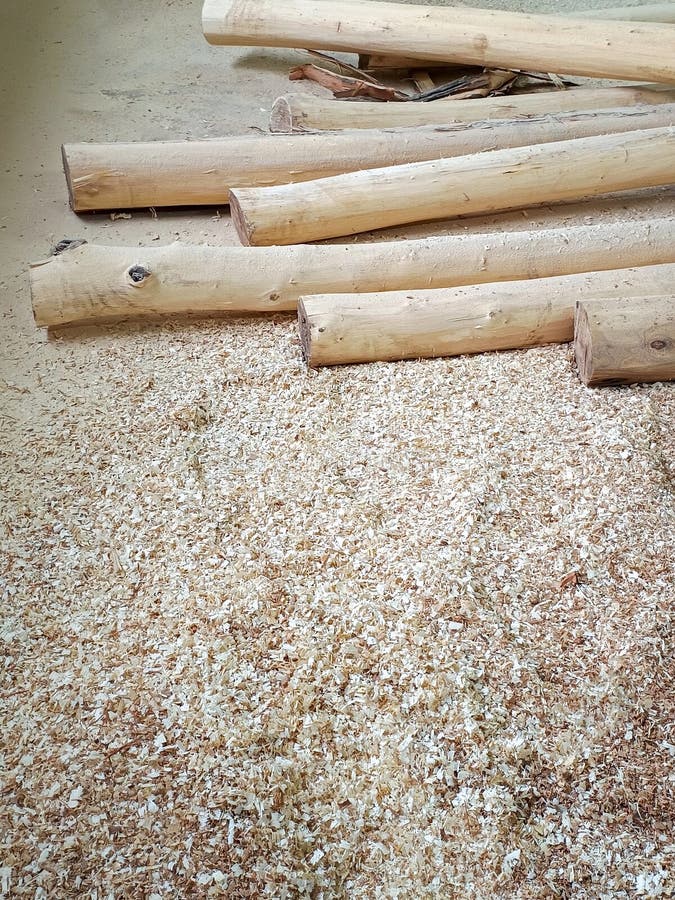 Smoothed Acacia (Robinia) Logs on Workshop Floor Stock Illustration ...