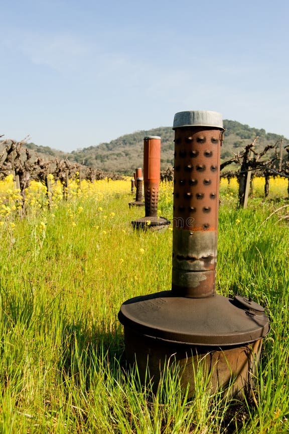Smudge Pots stock image. Image of bloom, spring, green - 5607261