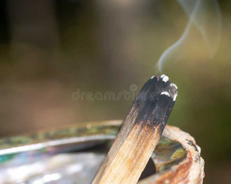 Smudging Ceremony. Peruvian Palo Santo Holy Wood. Stock Photo - Image ...