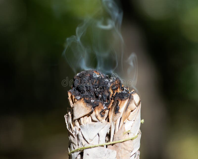 Smudging Ritual Using Burning Thick Leafy Bundle of White Sage in ...