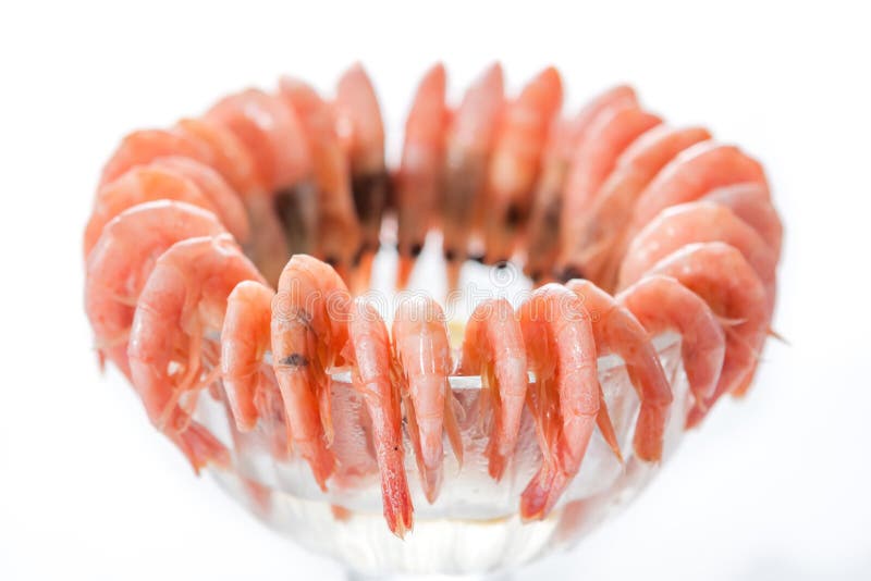 Cold collation stock photo. Image of healthcare, bite - 32633518