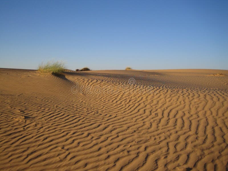 Snad desert stock photo. Image of texture, skies, dune - 1109612