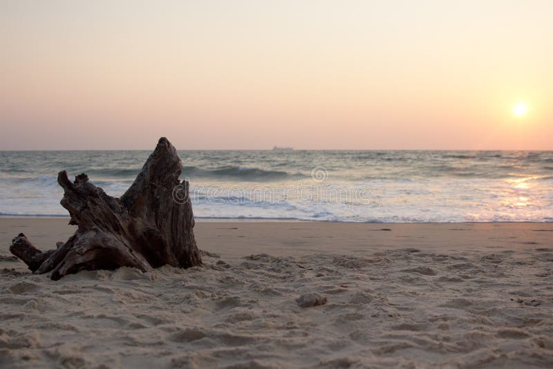 Marked Snag Water Stock Photos - Free & Royalty-Free Stock Photos from ...