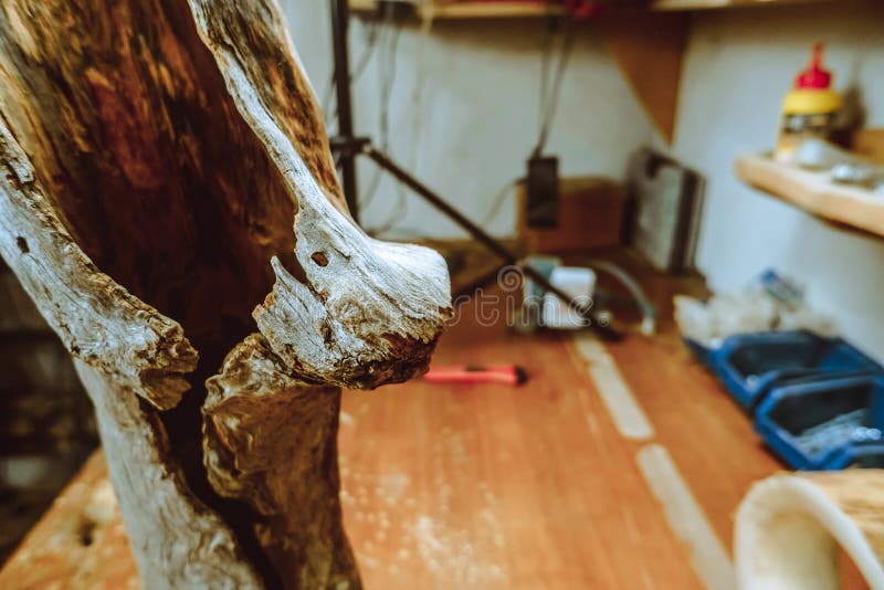 Snag from a tree stock photo. Image of mountains, procreation - 109606364