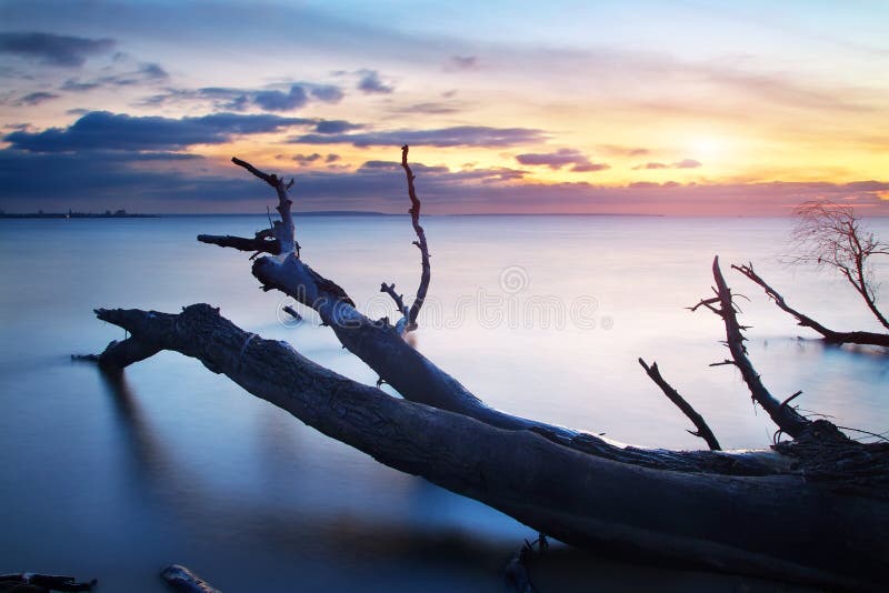 Snag in water. stock image. Image of resort, beach, horizon - 27854641