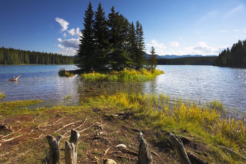 Spring trees stock photo. Image of summer, line, spring - 9050770