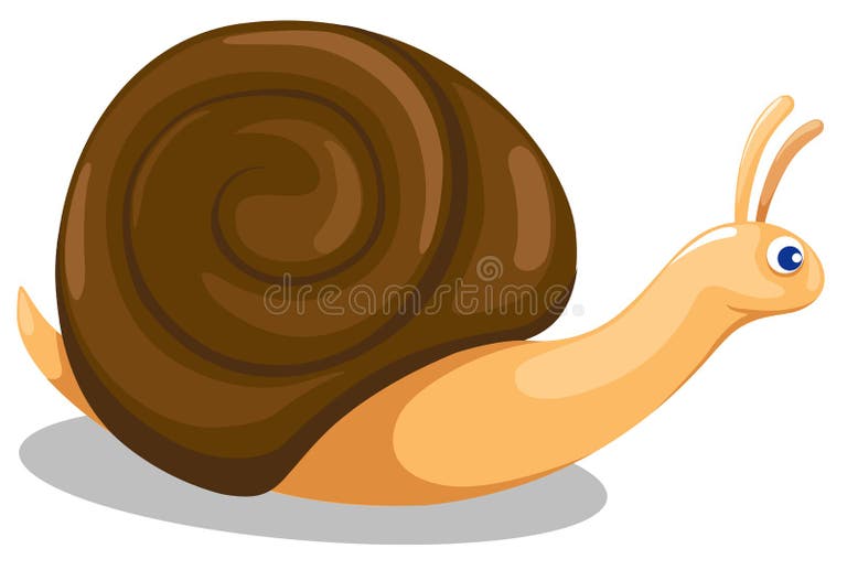 Snail Wildlife Stock Illustrations – 24,654 Snail Wildlife Stock ...